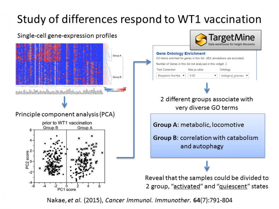 Applications to cancer immunotherapy study – TargetMine