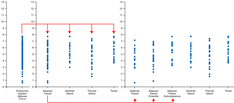 The gene expression graph – TargetMine